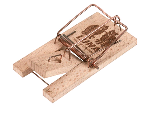 Luna Wooden Mouse Trap – Walshs Homevalue Hardware